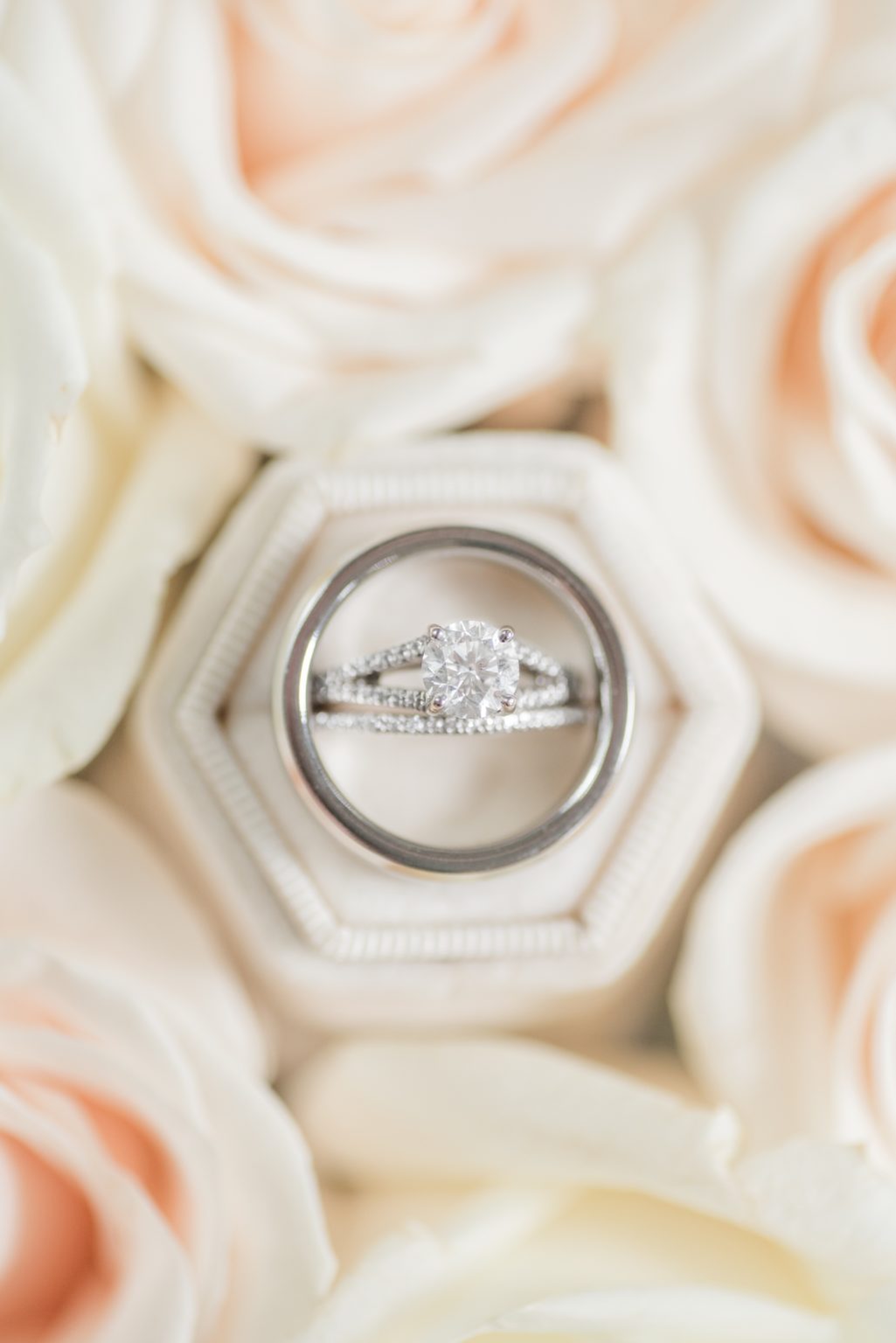Blush & Dusty Blue Wedding at The Wooded Knot | Courtney Rudicel ...