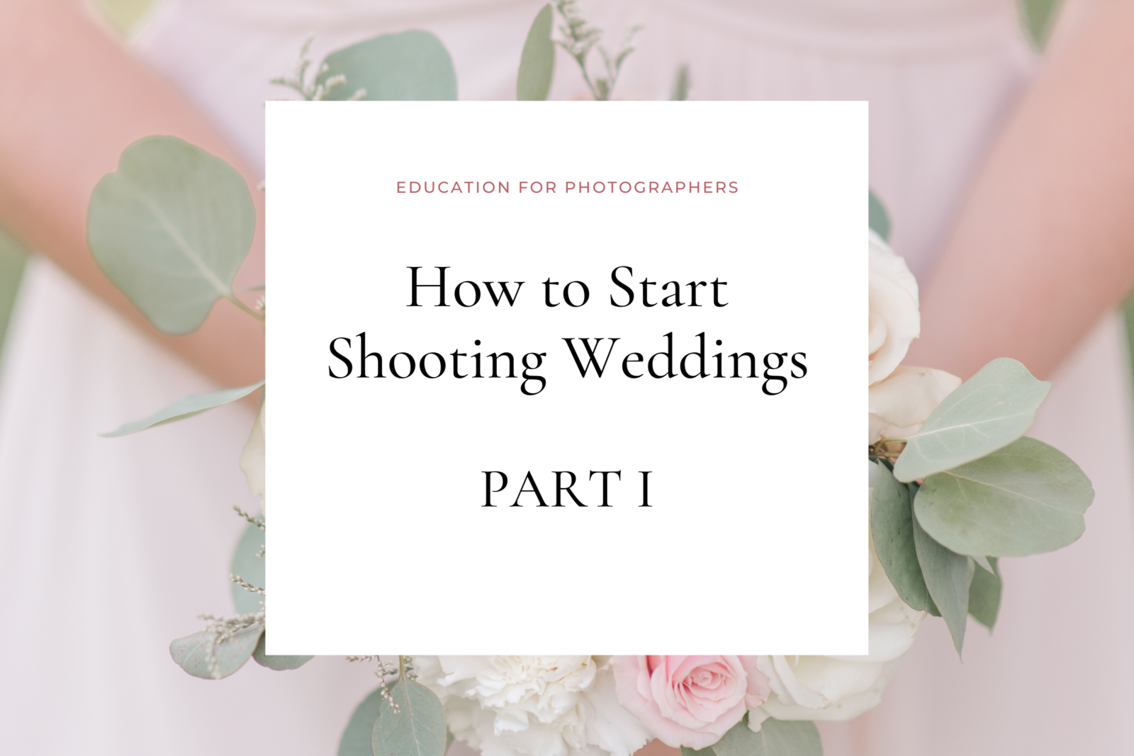 Photographer Education | How To Start Shooting Weddings